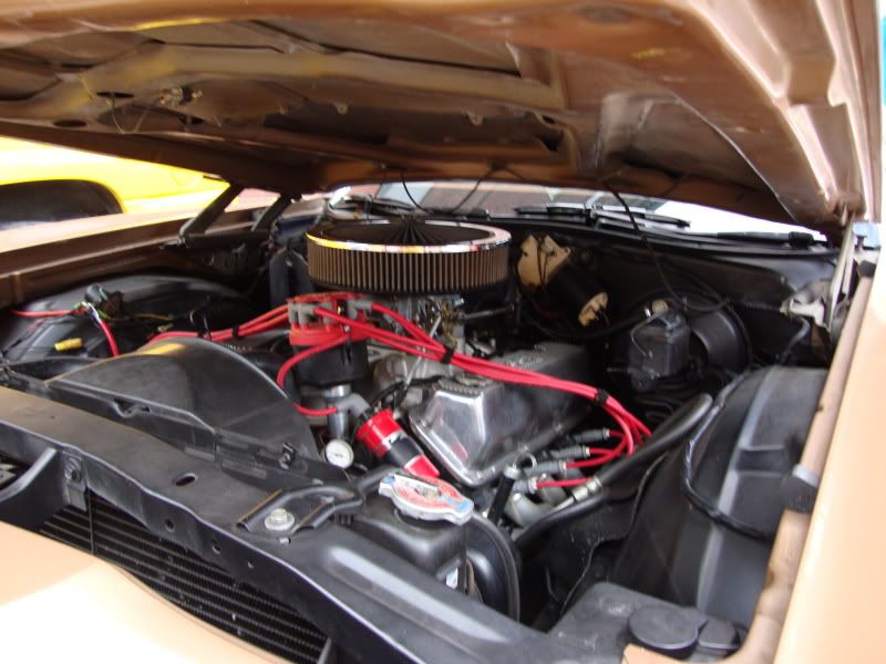 firewall color? - The Ford Torino Page Forum