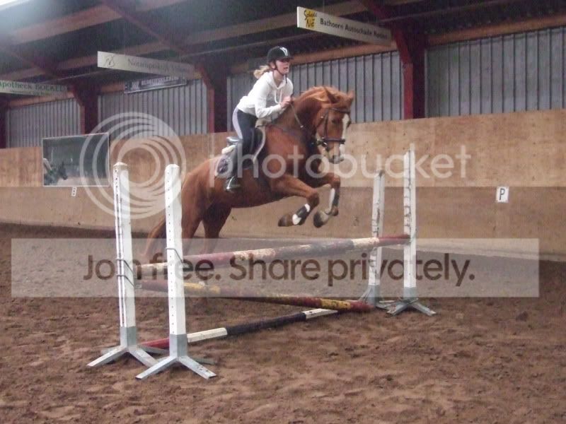 Aludine (Sydney x Voltaire) @ Oefenparcour Tolbert BB • Bokt.nl