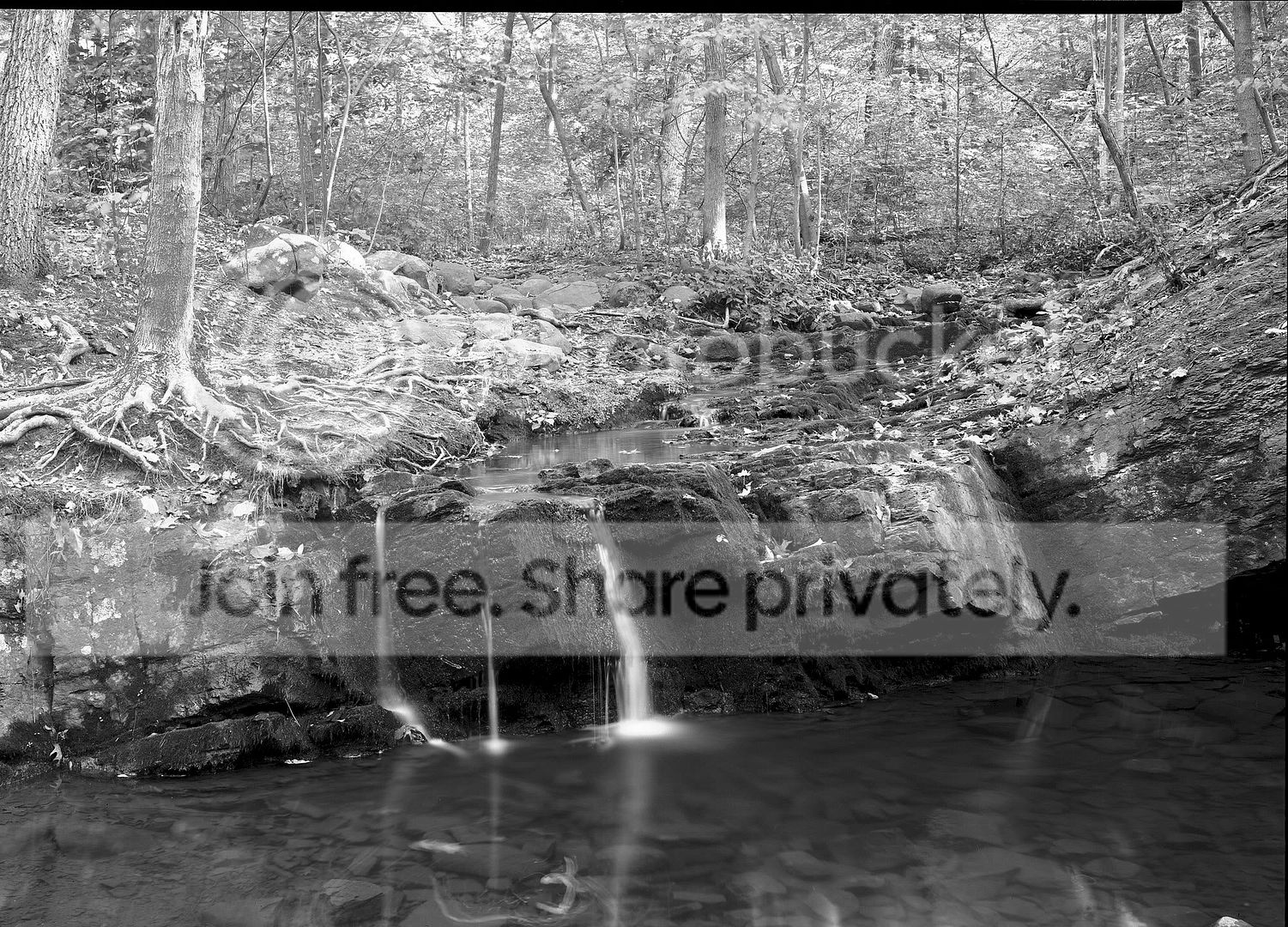 monocacycreek photos on Flickr | Flickr