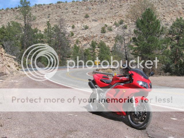 longest lasting rear tires? | Triumph Rat Motorcycle Forums